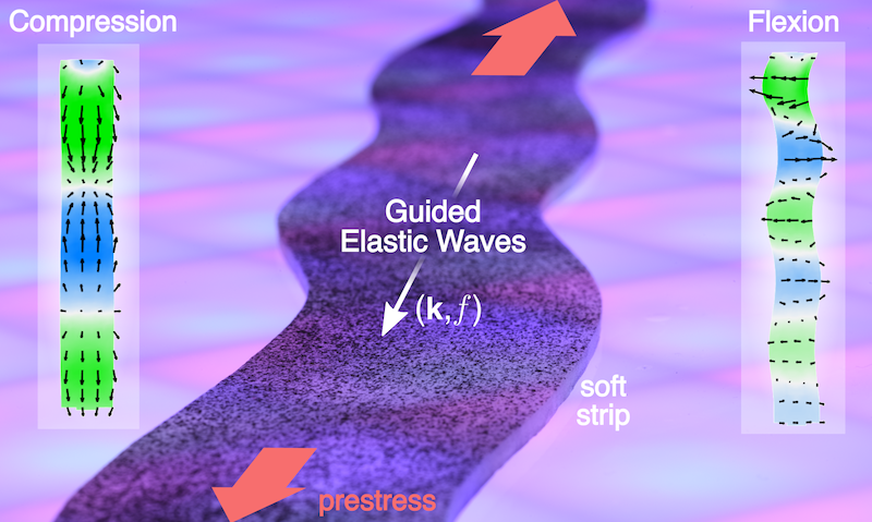 Viscoelastic Dynamics Of A Soft Strip Subject To A Large Deformation Daniel A Kiefer